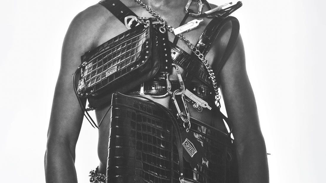 Official Website of ARIES™ – Aries