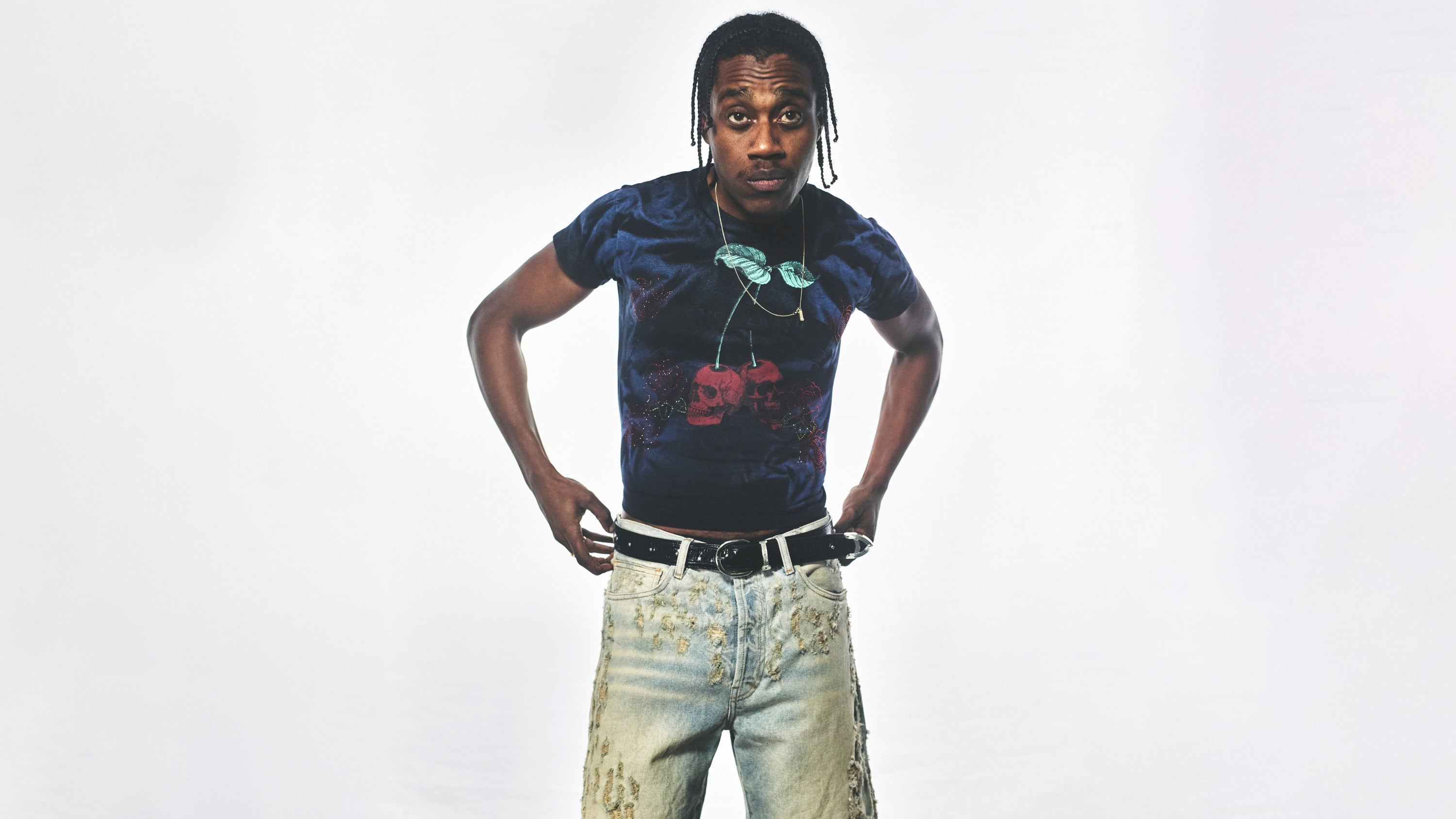 Official Website of ARIES™ – Aries