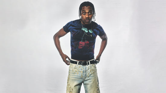 Official Website of ARIES™ – Aries